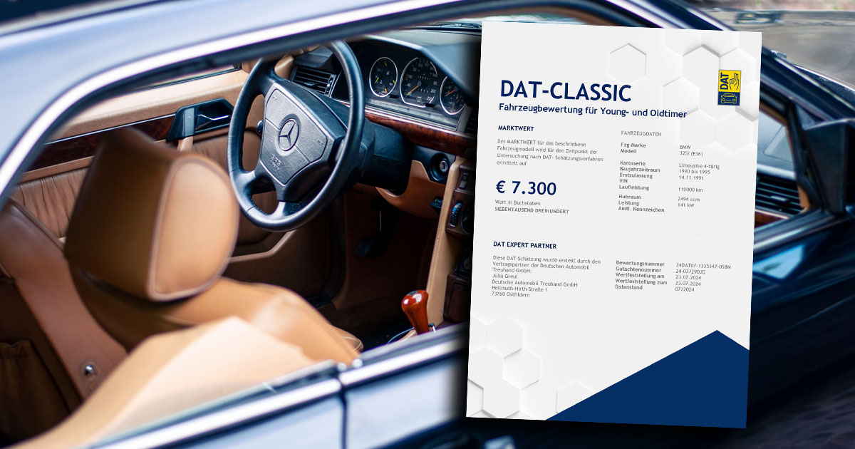 SilverDAT CLASSIC Bewertung